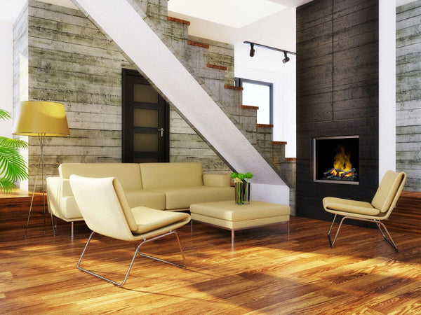 Dimplex Opti-Myst 22-Inch Electric Fireplace Deluxe Cassette Insert w ...